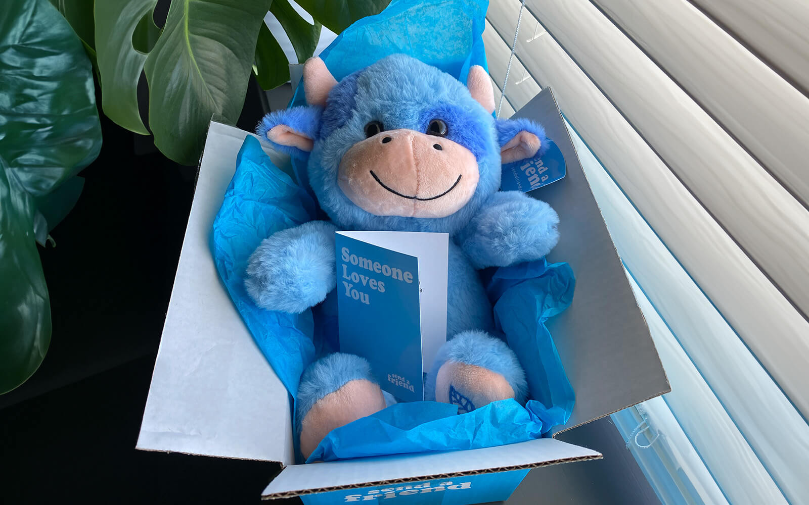 gender neutral gifts – SendAFriend