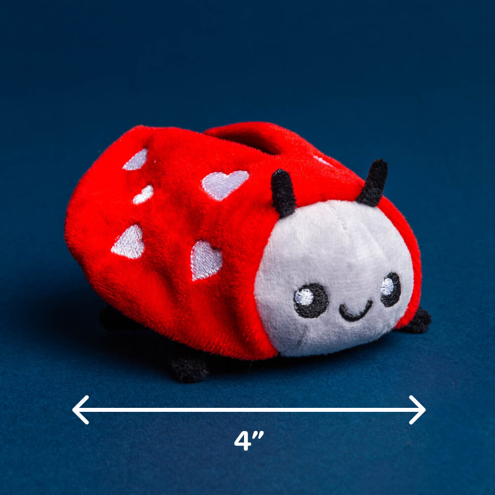 Lucy the Love Bug Buddy (Add-On) for Care Package - SendAFriend
