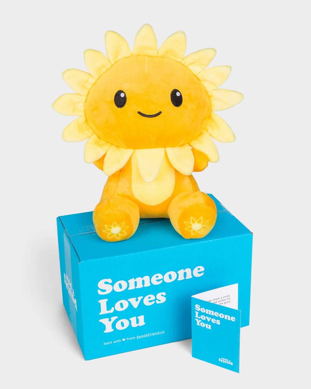 Serenity the Sunflower Axolotl Stuffed Animal Care Package - SendAFriend