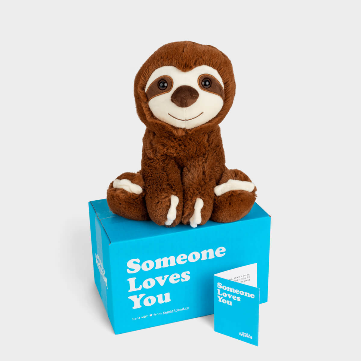 Helena the Highland Cow Stuffed Animal Care Package - SendAFriend