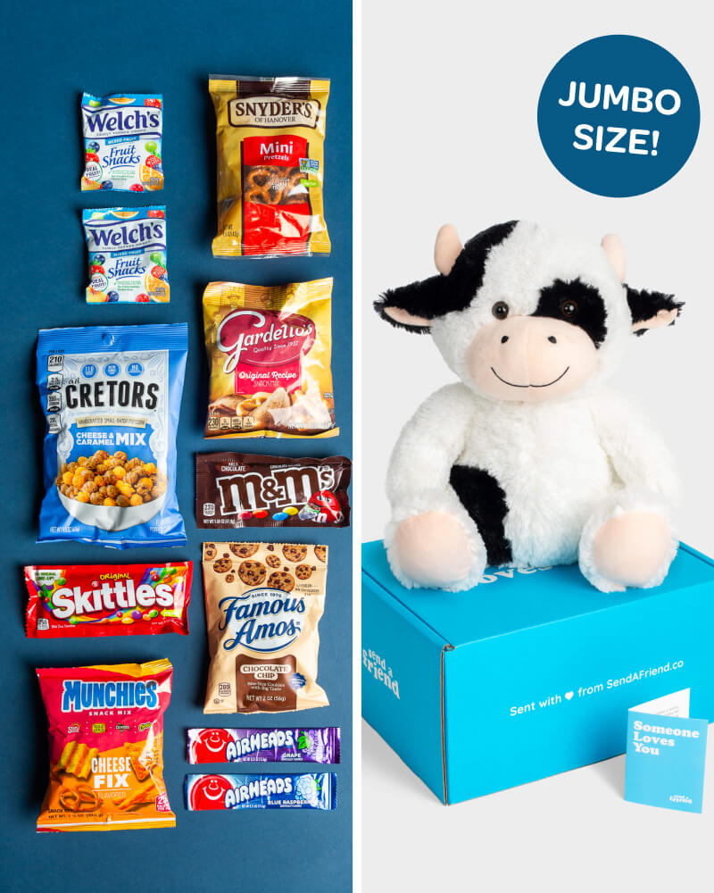 Ultimate Snack Pack | SendAFriend's Stuffed Animal Care Packages